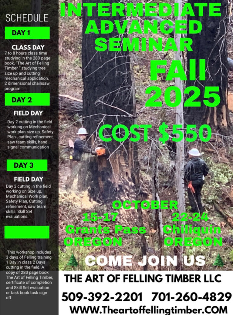The Art of Felling Timber – Safety & Discipline